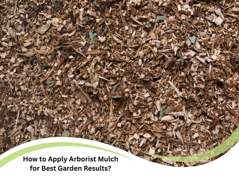 Arborist Mulch: How to Apply It for Best Garden Results