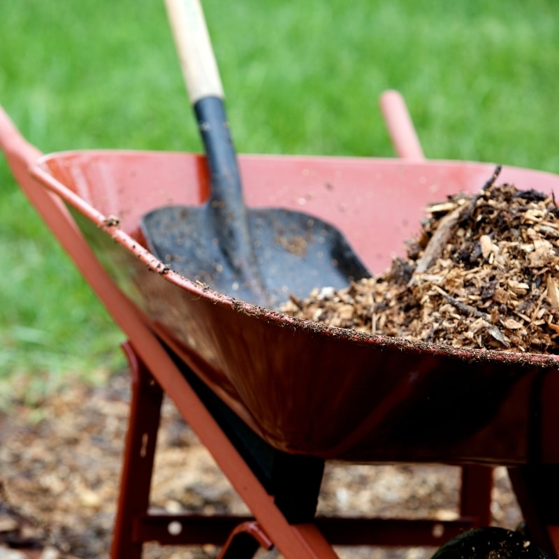Custom Mulching Solutions for Healthier Landscapes in 2026